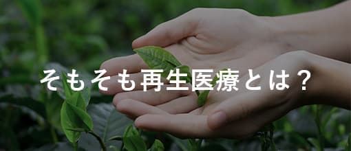 甲状腺を半分摘出したら後遺症は出る？合併症リスクや体調不良の対処法も解説 リペアセルクリニック東京院